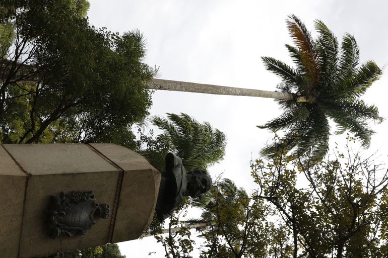 Jardim Botânico do Rio de Janeiro completa 214 anos | Agência Brasil