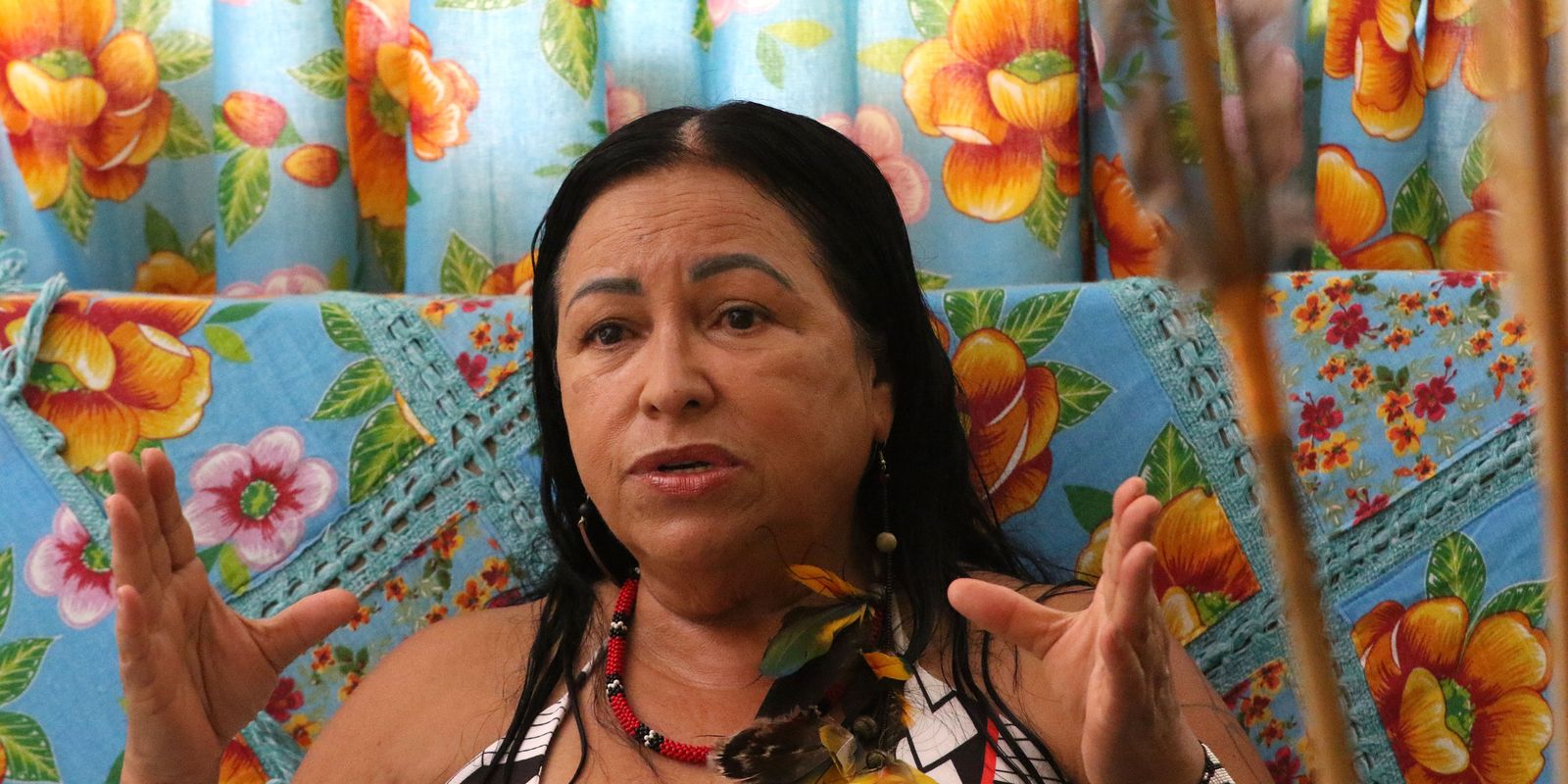 Especial 7 de Setembro - entrevista Marize Guarani | Agência Brasil