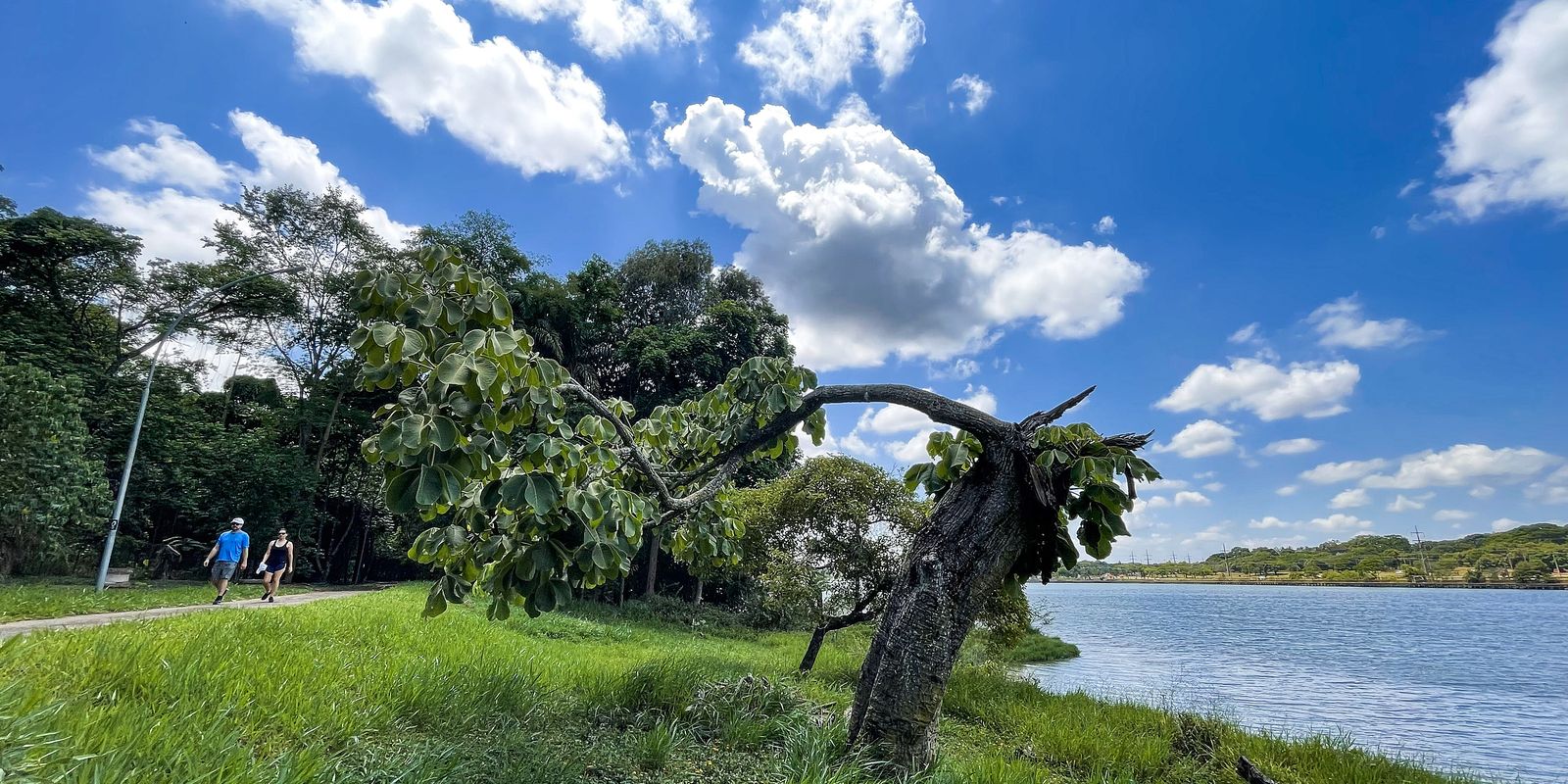 Parque Ecológico Lago Norte - Mata Ciliar | Agência Brasil
