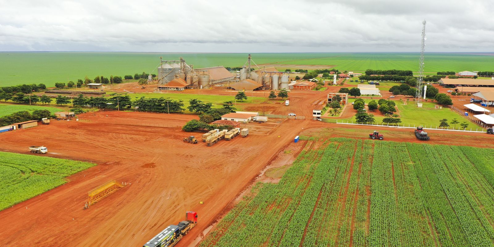 A Fazenda Ipê, em Baixa Grande do Ribeiro (PI), é a primeira no país a ...