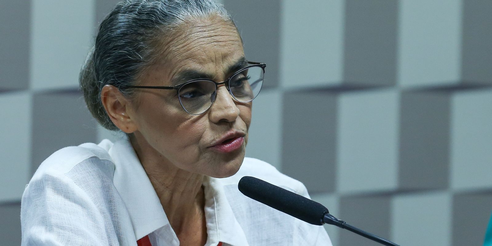 Marina Silva, fala na Comissão do Meio Ambiente do Senado | Agência Brasil