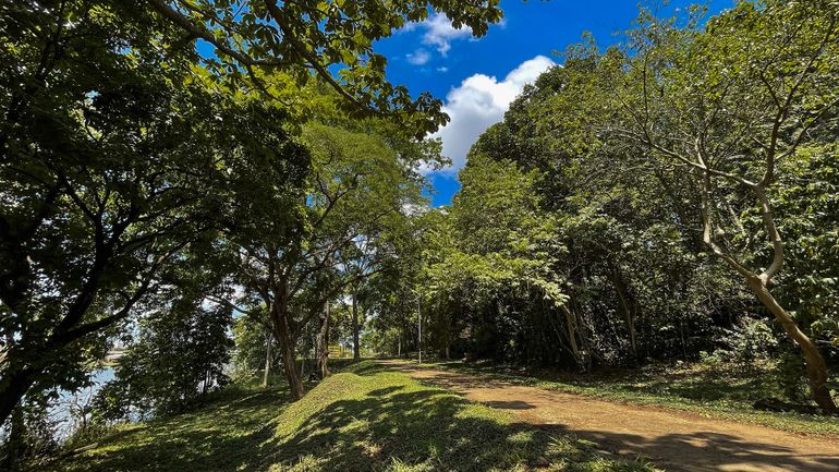 Parque Ecológico Lago Norte - Mata Ciliar | Agência Brasil