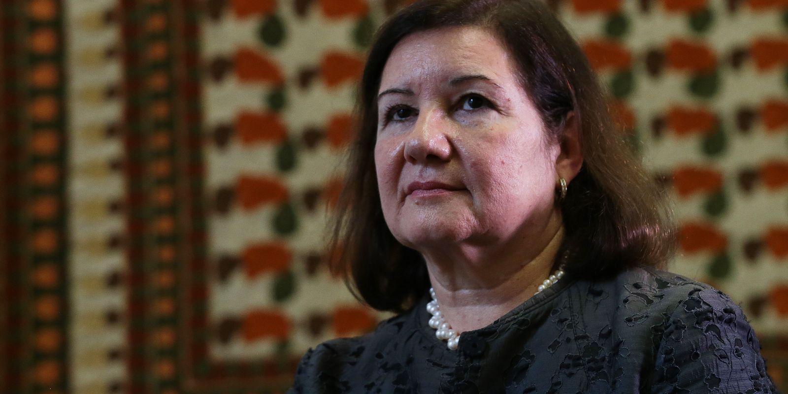 Maria Luiza Viotti assumes role as Brazil's ambassador to USA | Agência ...