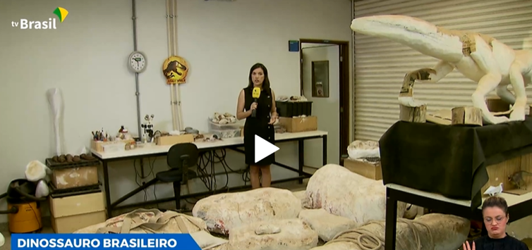 Ubirajara jubatus: fóssil que estava na Alemanha chega ao Brasil ...