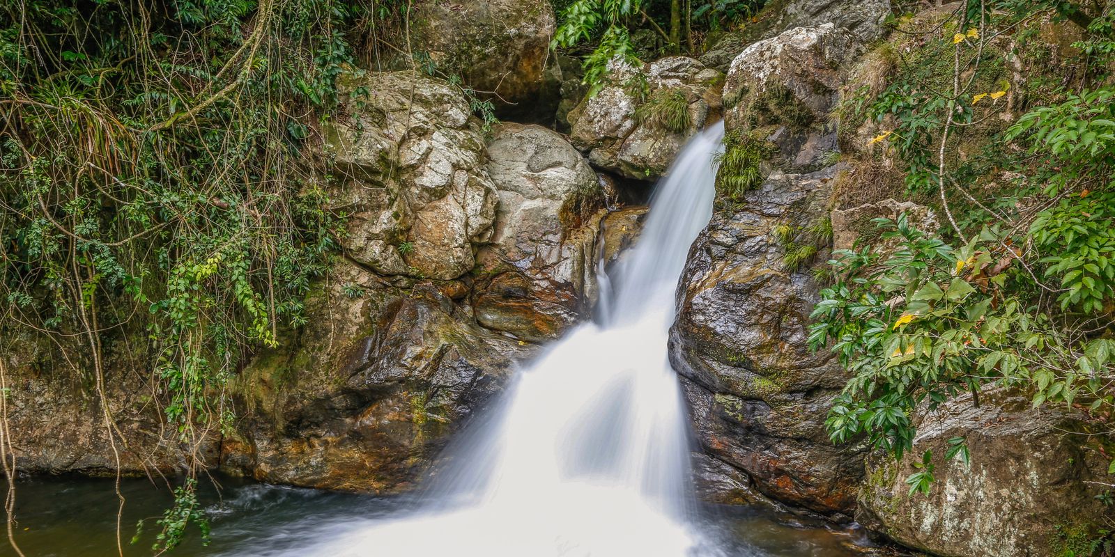Parque Estadual do Rio Turvo | Agência Brasil