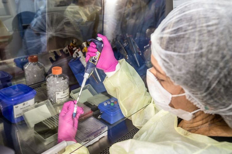 Geneticista fala do mapeamento dos genes de risco e de resistência para ...