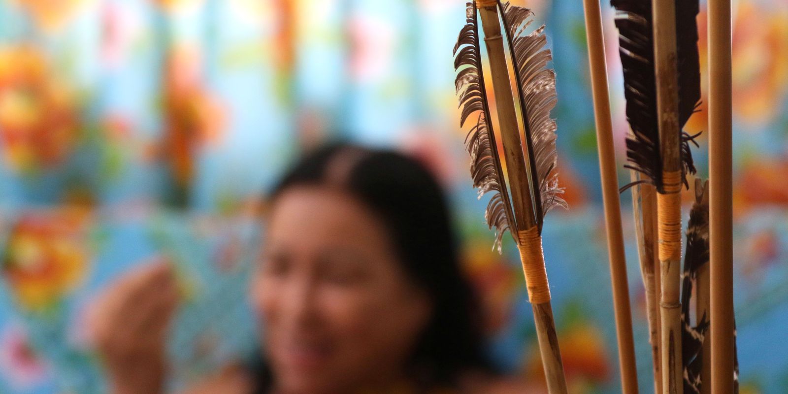 Especial 7 de Setembro - entrevista Marize Guarani | Agência Brasil