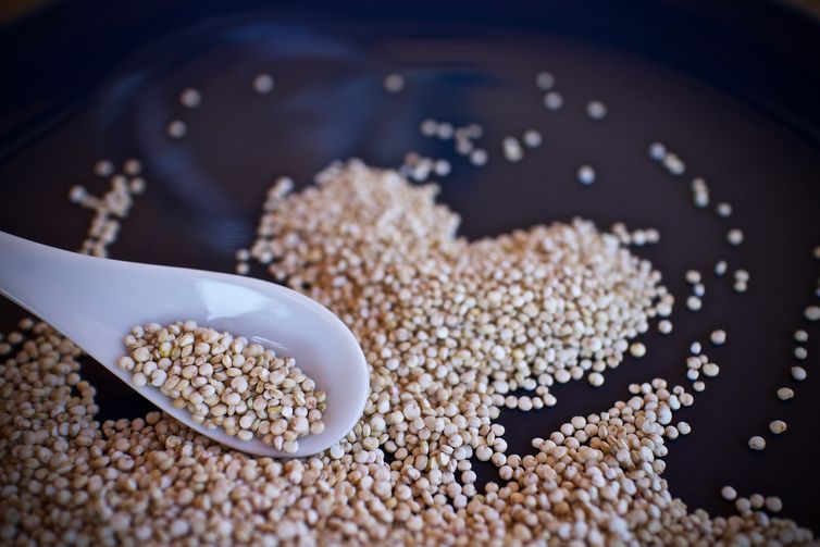 Os benefícios da Quinoa | EBC Rádios