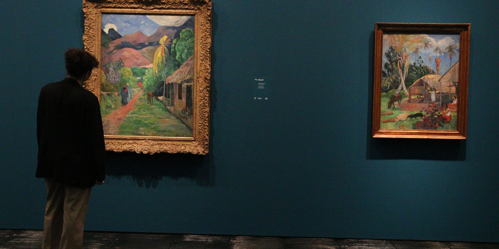 Exposição Paul Gauguin no MASP | Agência Brasil