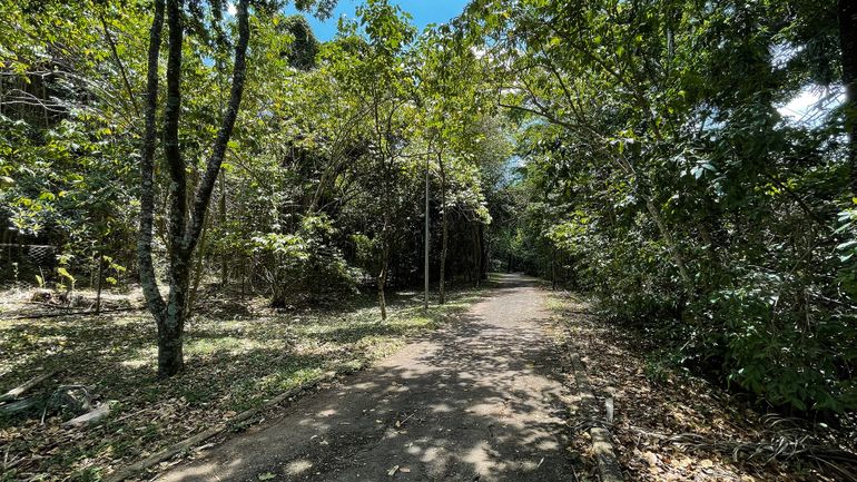 Parque Ecológico Lago Norte - Mata Ciliar | Agência Brasil