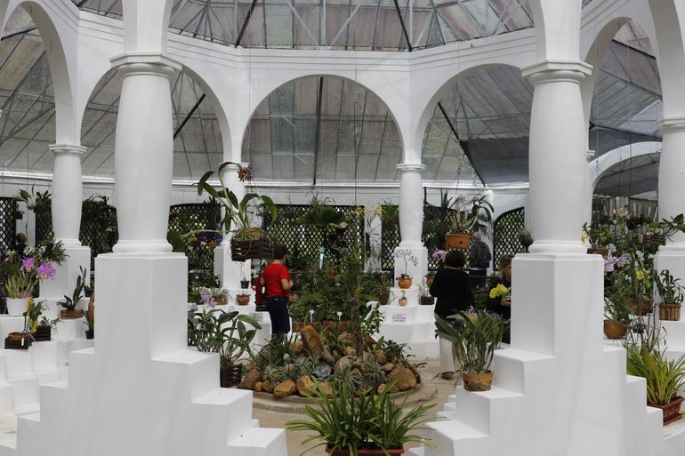 Jardim Botânico do Rio de Janeiro completa 214 anos | Agência Brasil