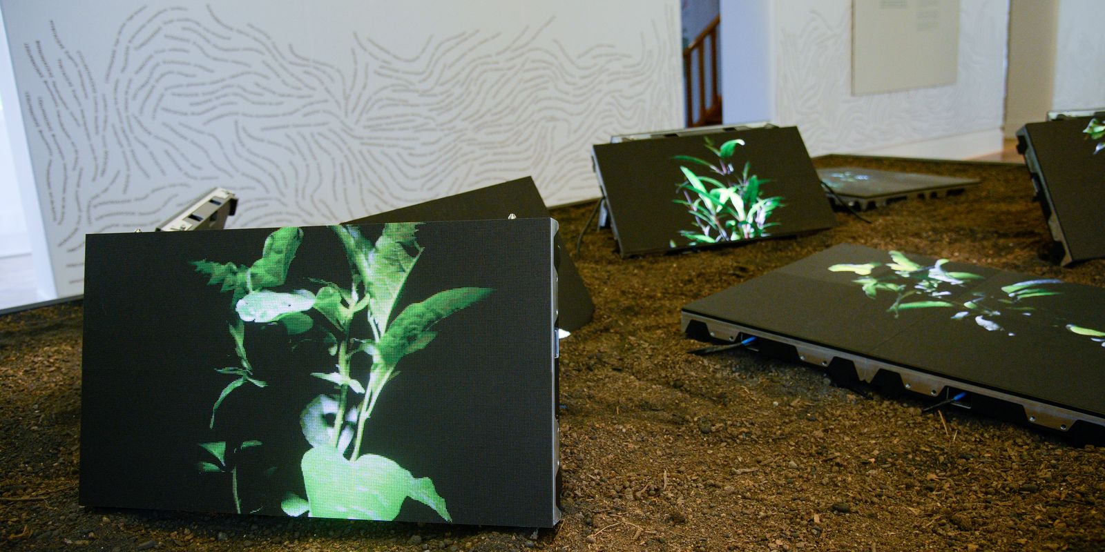 Museu do Jardim Botânico | Agência Brasil