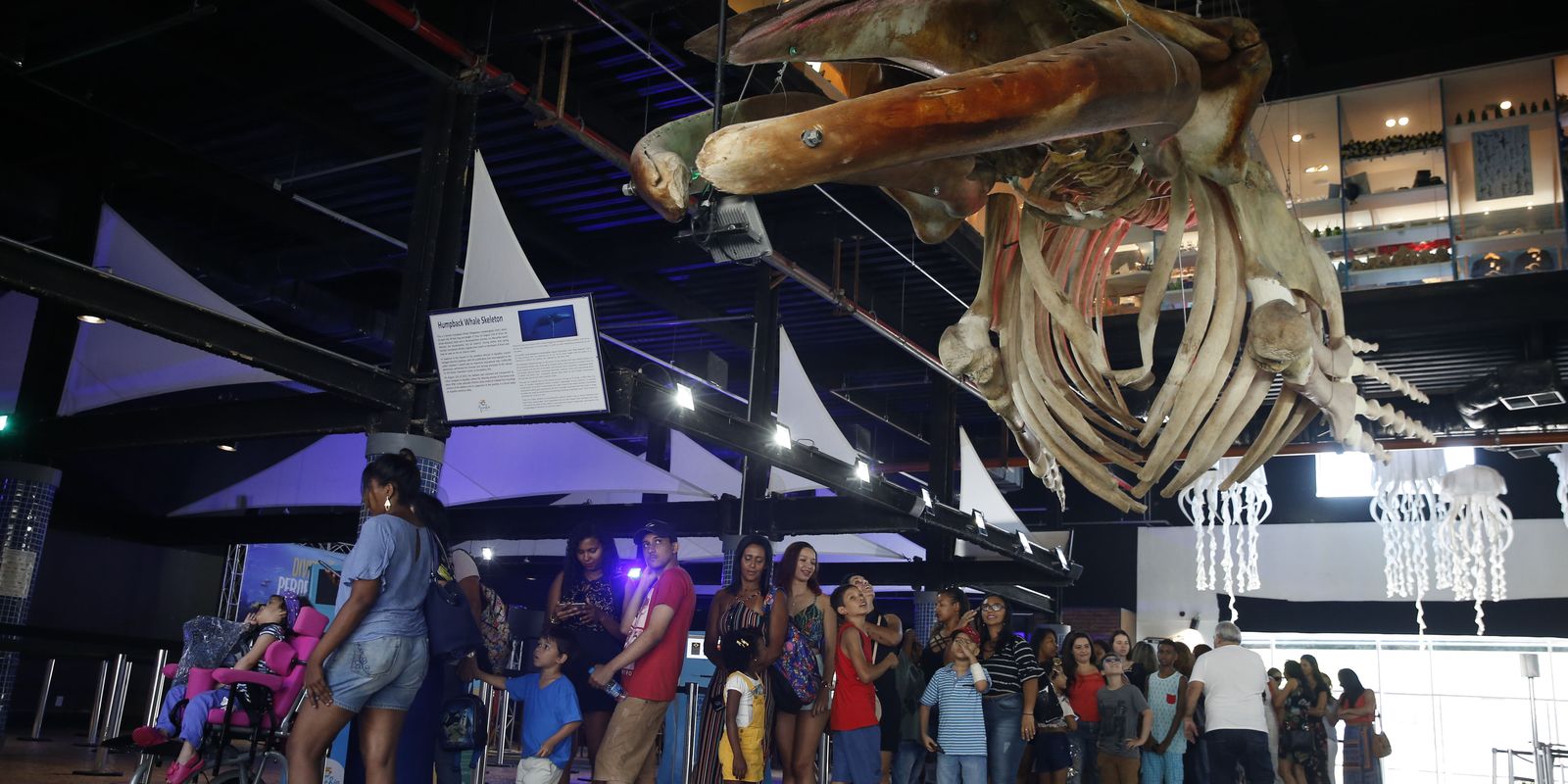 Crianças atendidas no Hospital Federal da Lagoa passeiam no AquaRio ...