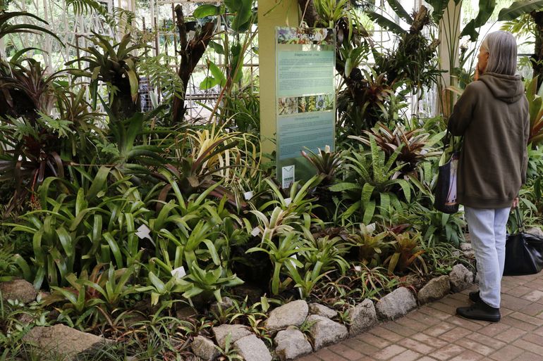 Jardim Botânico do Rio de Janeiro completa 214 anos | Agência Brasil