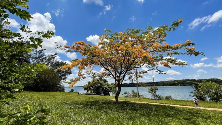 Parque Ecológico Lago Norte - Mata Ciliar | Agência Brasil