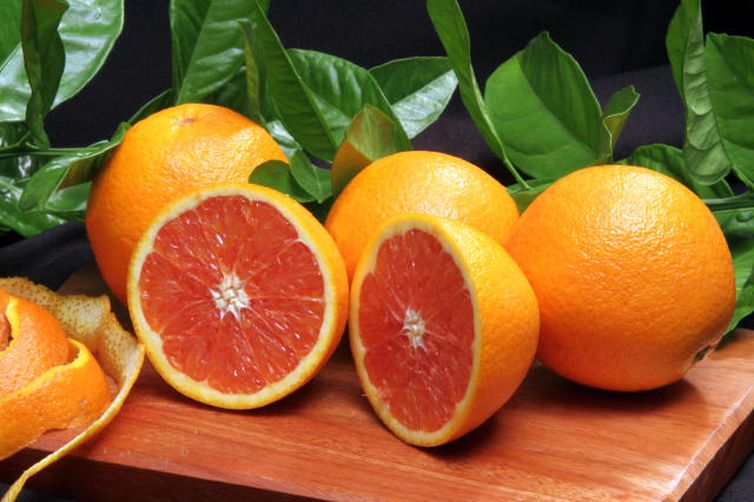 Brasil lida melhor com as pragas da laranja do que os Estados Unidos ...