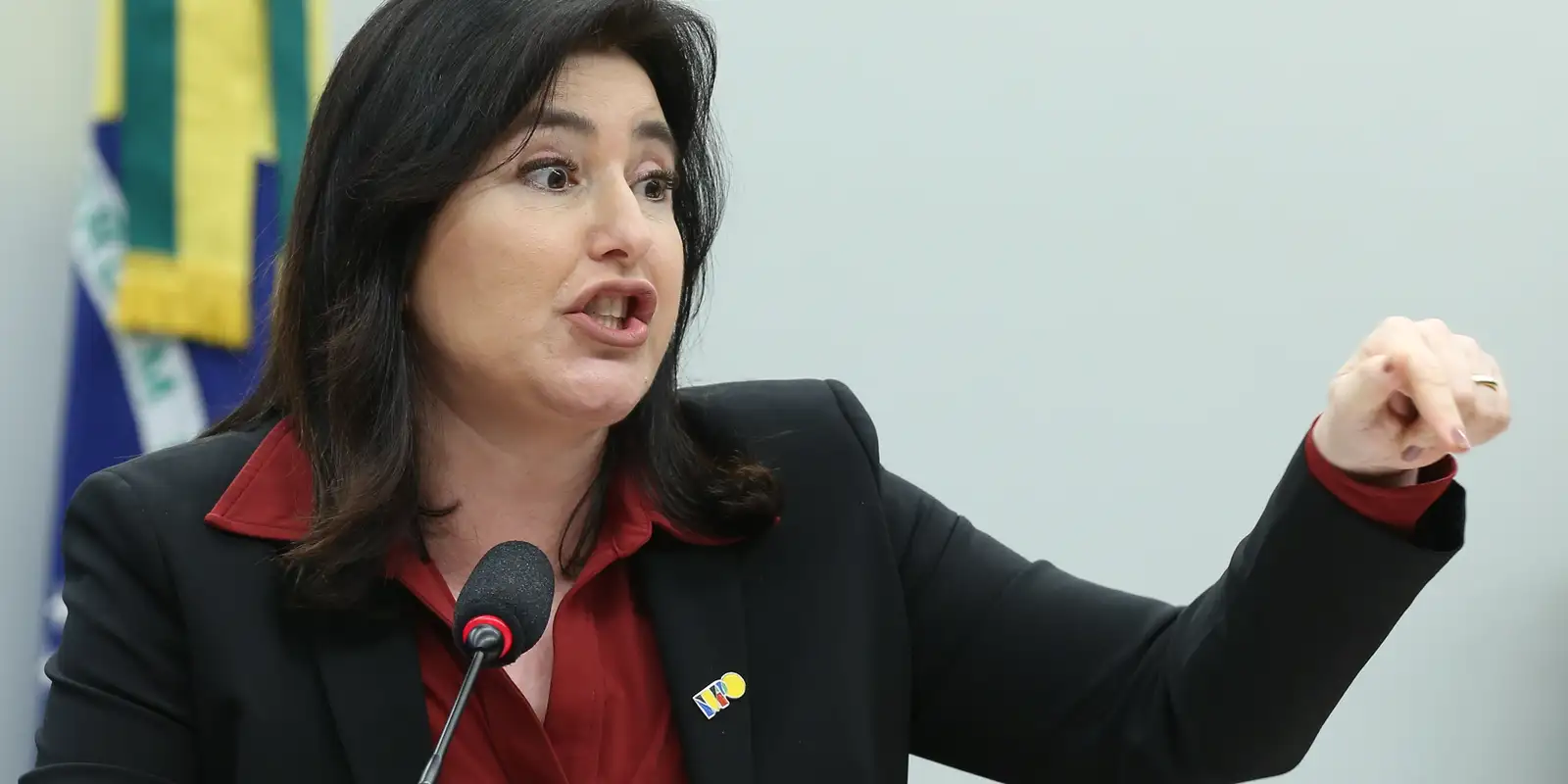 Simone Tebet na Comissão Mista de Orçamento | Agência Brasil