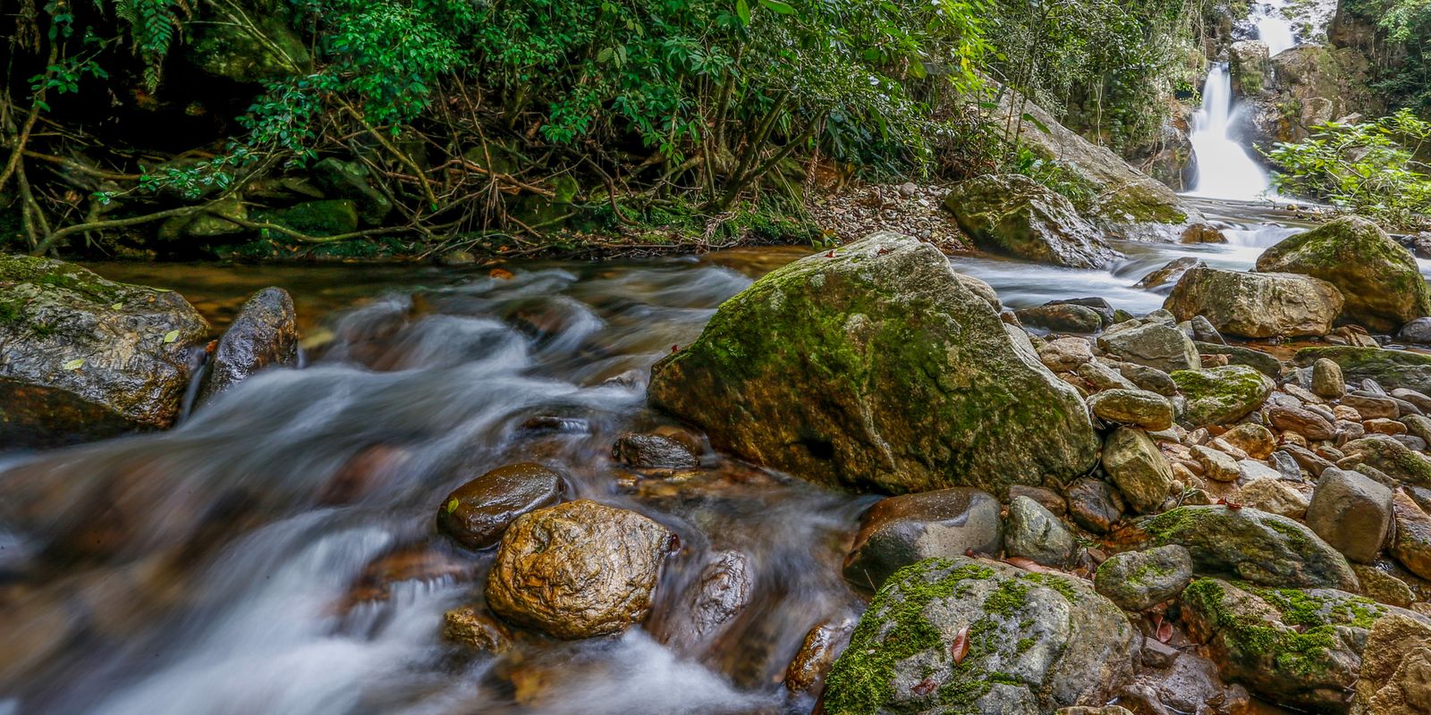 Parque Estadual do Rio Turvo | Agência Brasil