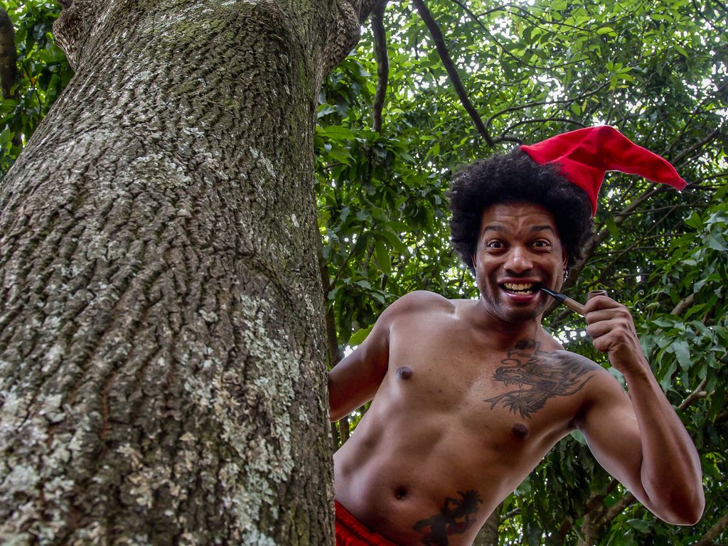 Dia do Saci: professores e artistas resgatam guardião da floresta | Agência Brasil