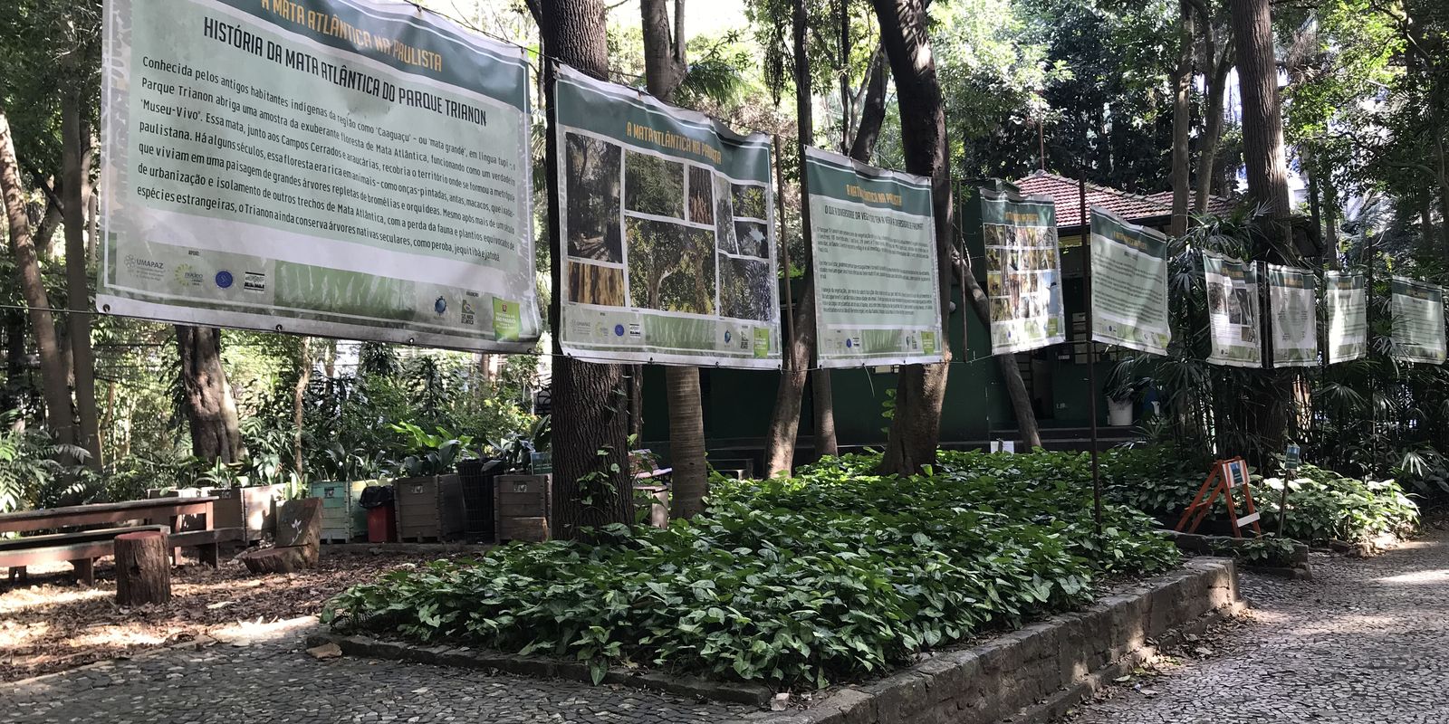 Evento Um Dia no Parque, no Parque Trianon, Avenida Paulista | Agência ...