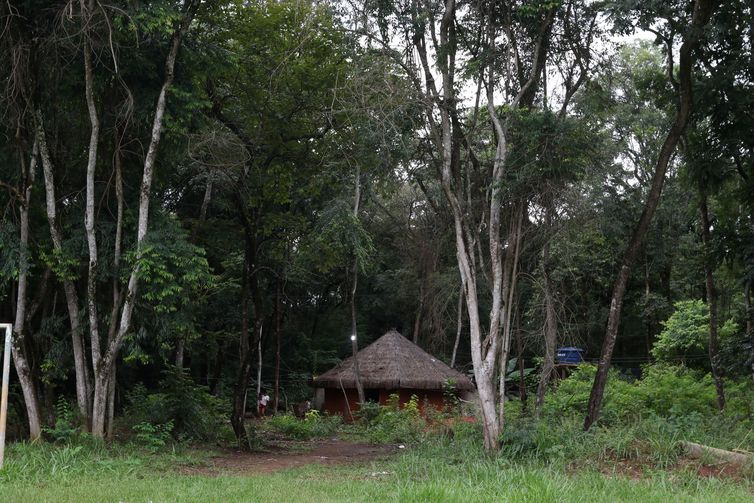 Após Desastre Da Vale Pataxós Erguem Nova Aldeia E Combatem Grileiros