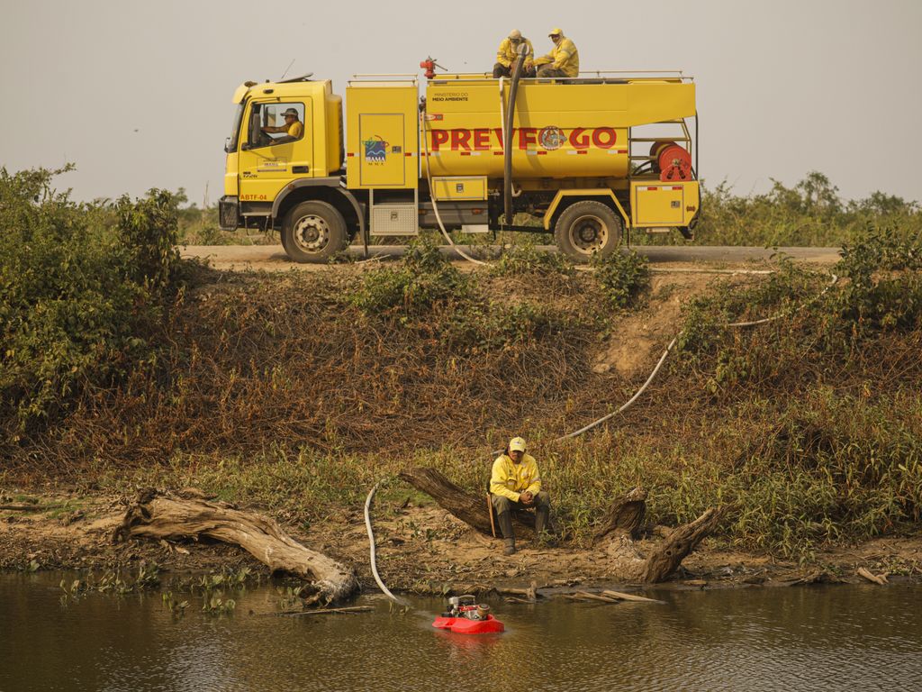Incêndio No Pantanal Tem Cenário De Animais Em Fuga E Muita Ventania