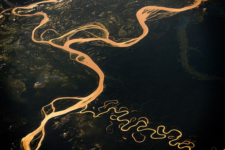 Expedição vai checar se o Rio Amazonas é o mais extenso do mundo | EBC ...