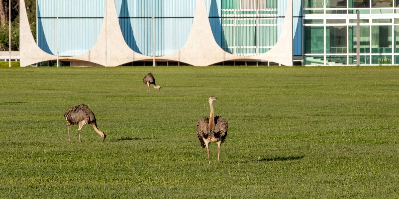 Fachada do Alvorada | Agência Brasil