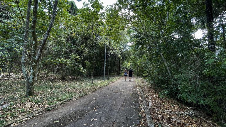 Parque Ecológico Lago Norte - Mata Ciliar | Agência Brasil
