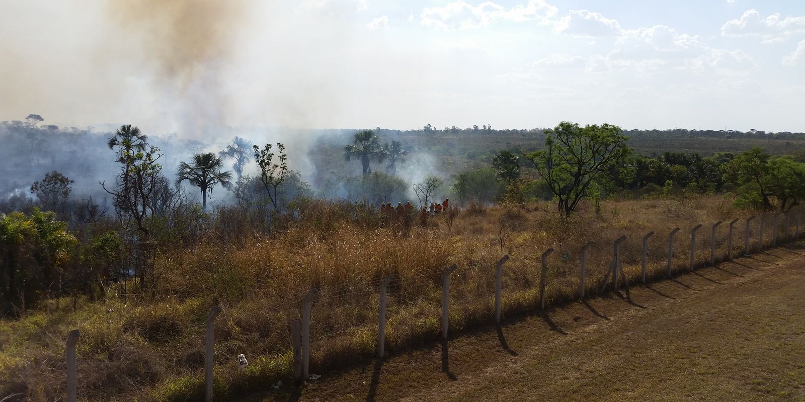 Incêndio atinge área de Cerrado em Brasília | Agência Brasil