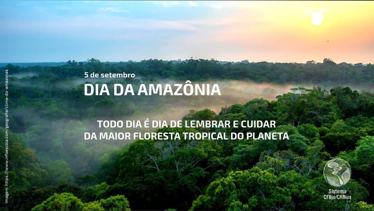 Dia da Amazônia: Marina Silva fala sobre as ameaças ao bioma e às ...