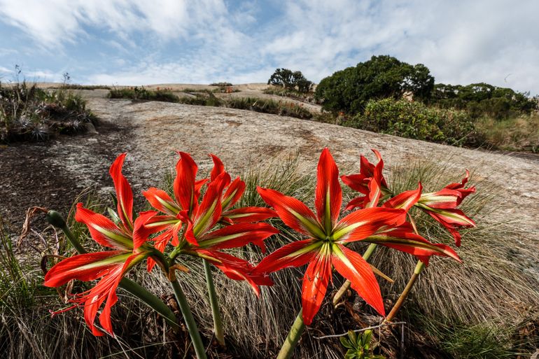 Monumento Natural Estadual da Pedra Grande | Agência Brasil