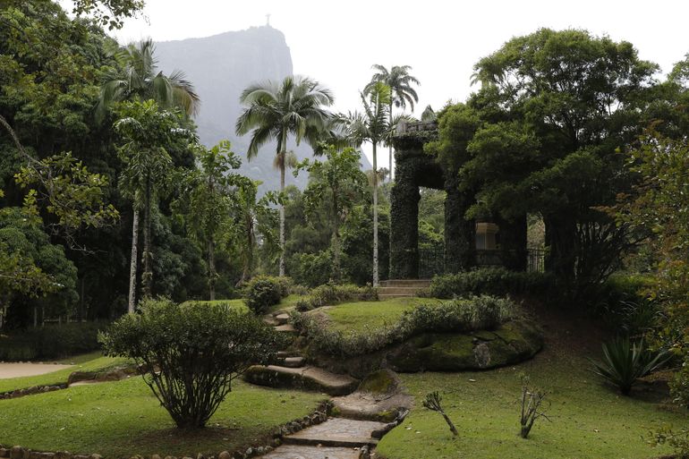 Jardim Botânico do Rio de Janeiro completa 214 anos | Agência Brasil