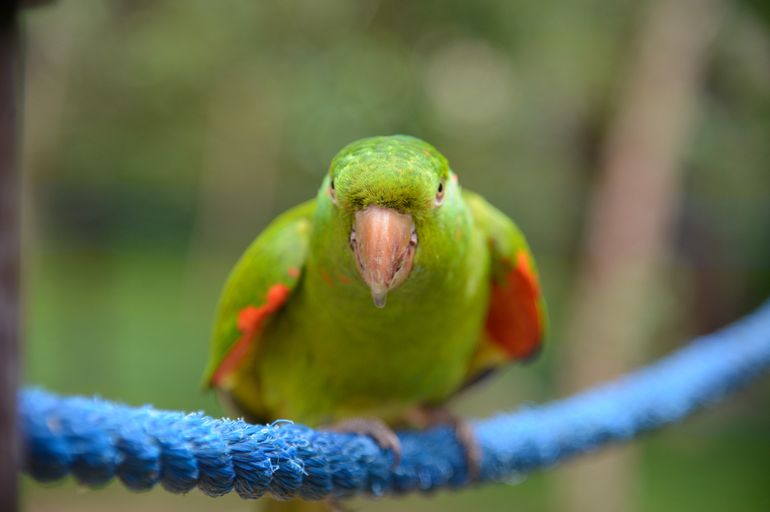 Zoo do Rio reabre ao público | Agência Brasil