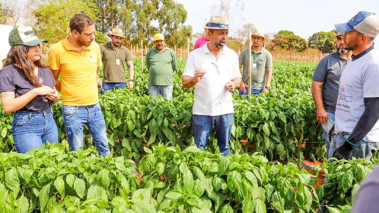 Semana de Integração Rural da Emater-DF acontece no Gama e na Vargem ...