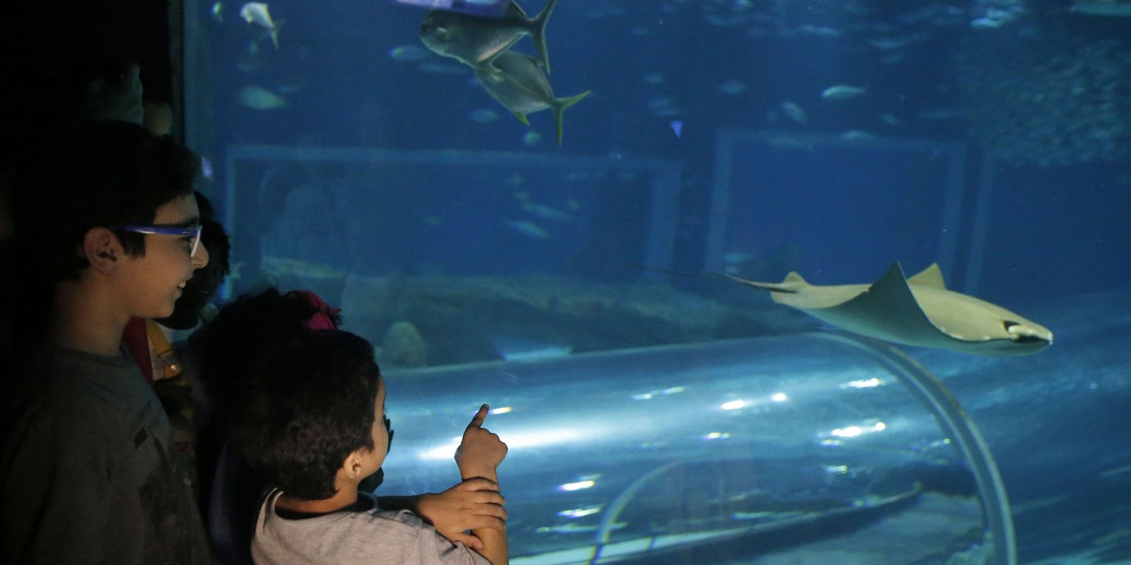 Crianças atendidas no Hospital Federal da Lagoa passeiam no AquaRio ...