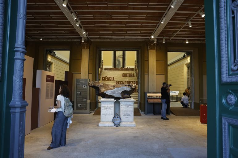 Exposição Entre Gigantes: uma experiência no Museu Nacional | Agência ...