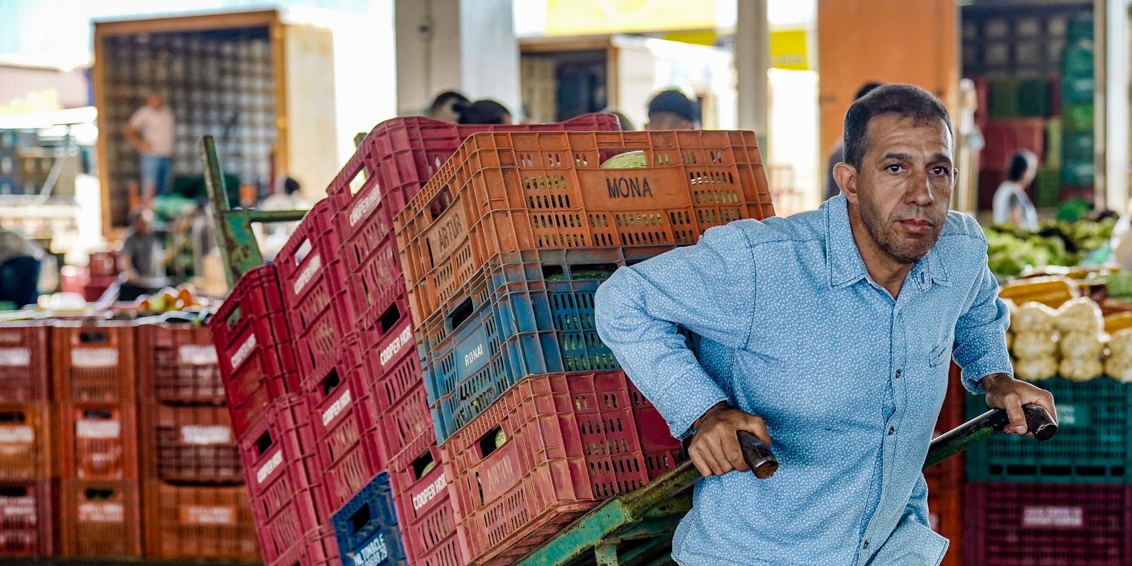 CEASA-DF | Agência Brasil