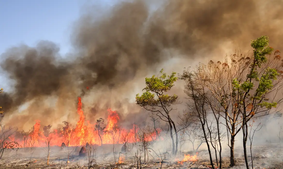 Large-scale fire hits Brasília National Park | Agência Brasil