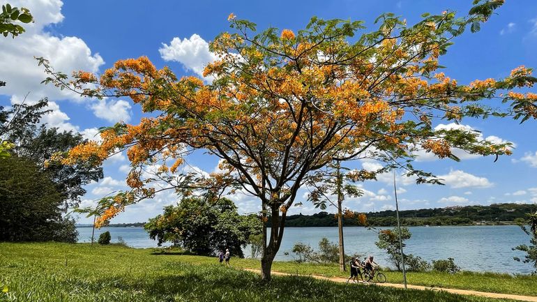 Parque Ecológico Lago Norte - Mata Ciliar | Agência Brasil