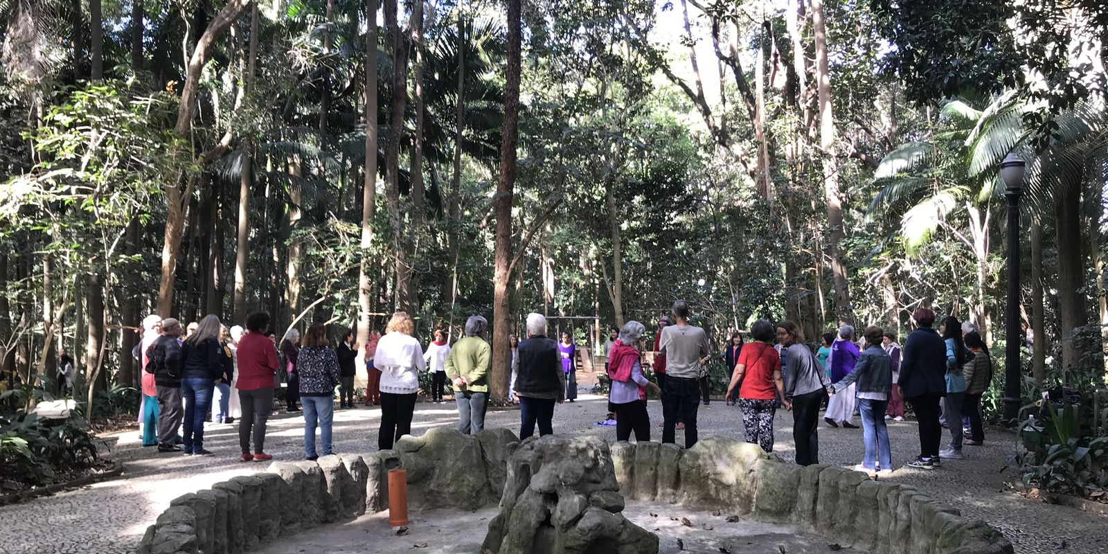Evento Um Dia no Parque, no Parque Trianon, Avenida Paulista | Agência ...