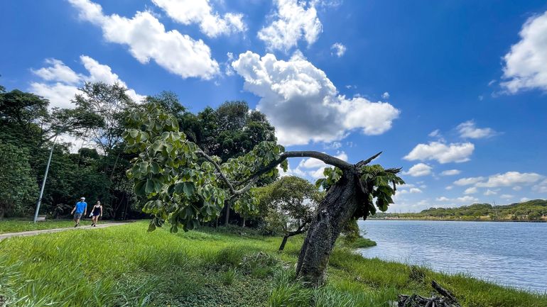 Parque Ecológico Lago Norte - Mata Ciliar | Agência Brasil