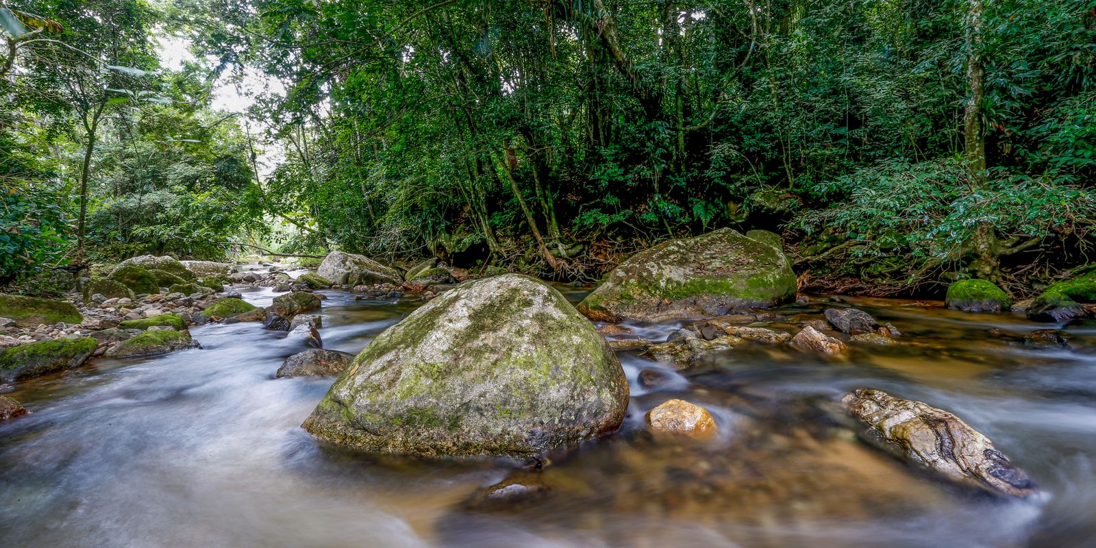 Parque Estadual do Rio Turvo | Agência Brasil