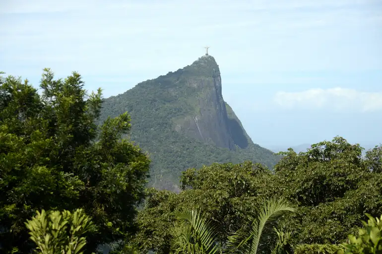 Vista da mata atlântica na Floresta da Tijuca, no Rio de Janeiro ...