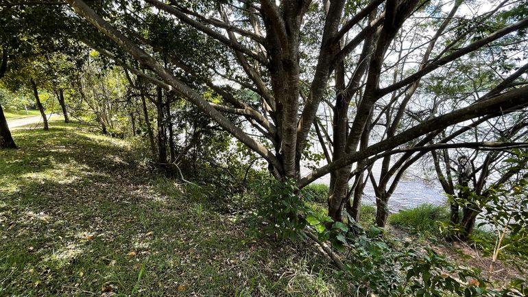 Parque Ecológico Lago Norte - Mata Ciliar | Agência Brasil