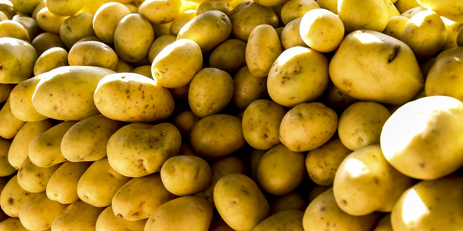 Batata-inglesa | Agência Brasil