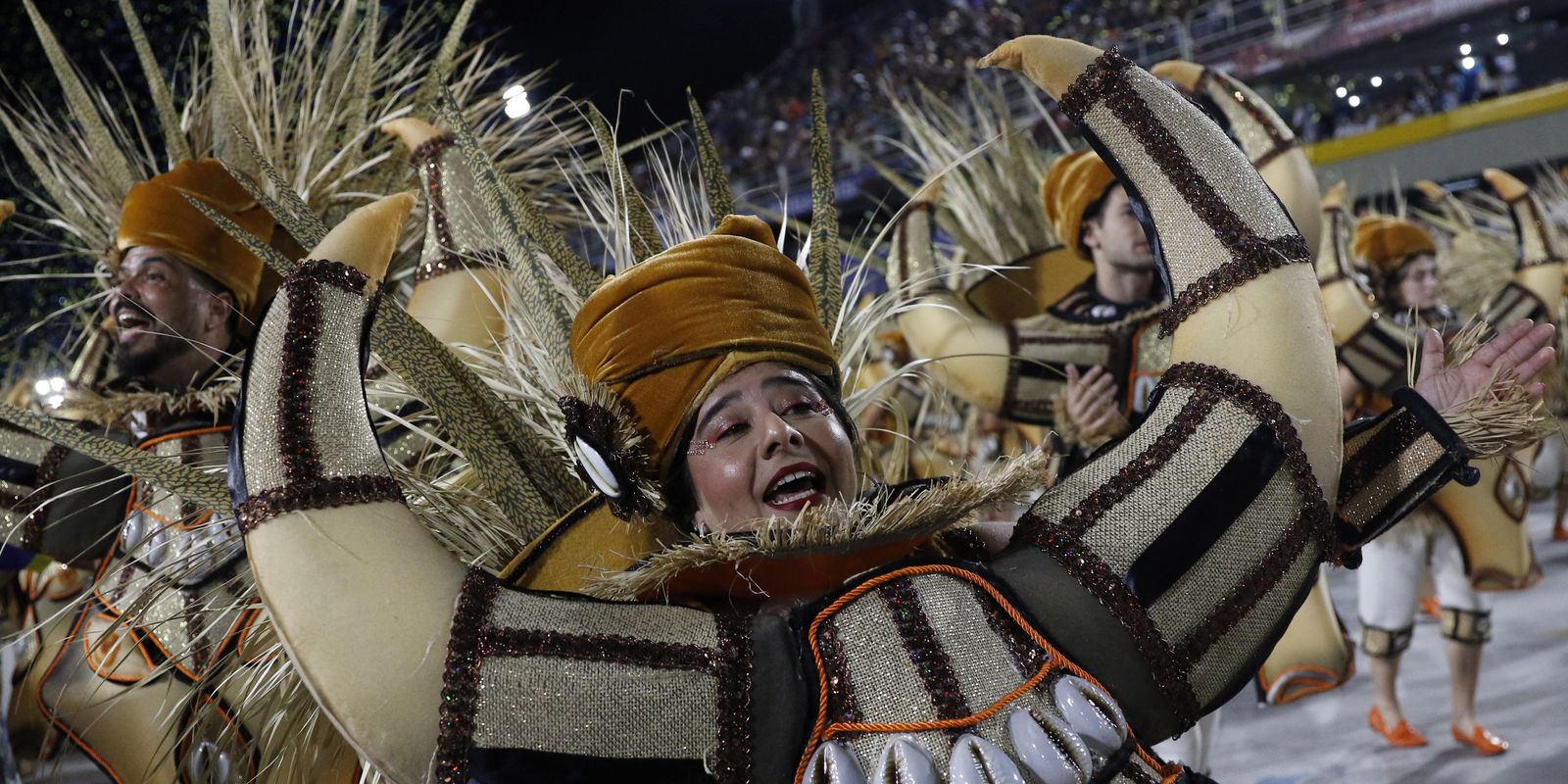 Escola de samba Paraíso do Tuiuti desfila sobre os búfalos da | Agência ...
