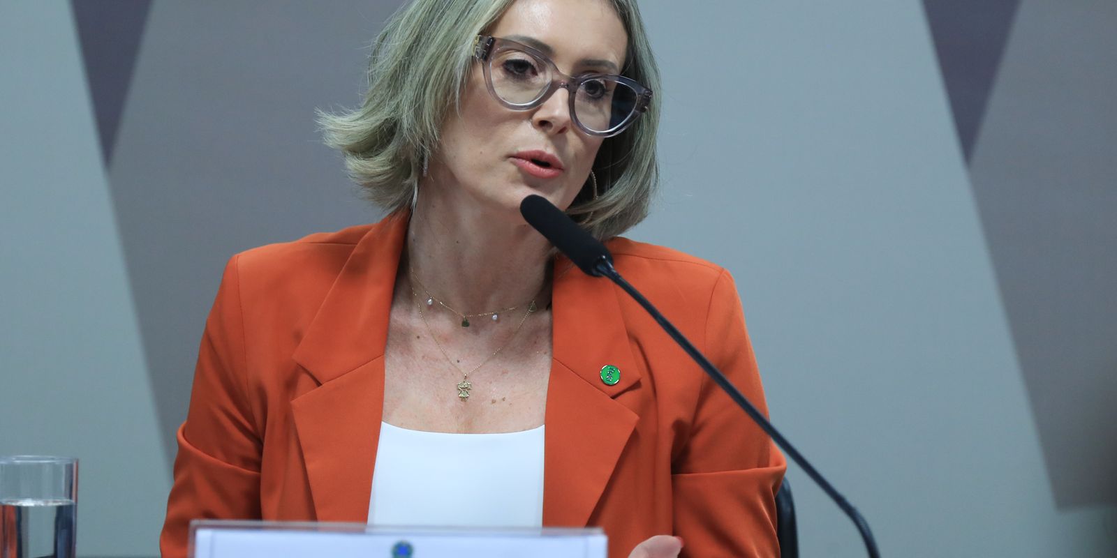 Reunião da CPMI do INSS durante depoimento de Patrícia Bettin | Agência ...