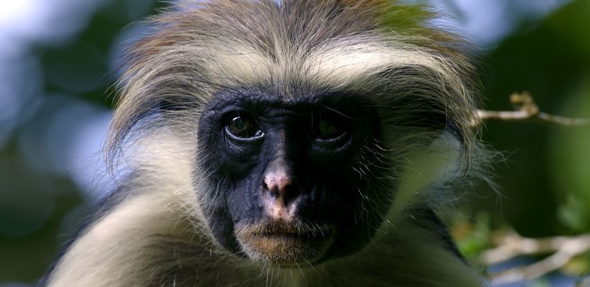 Programas | TV Brasil