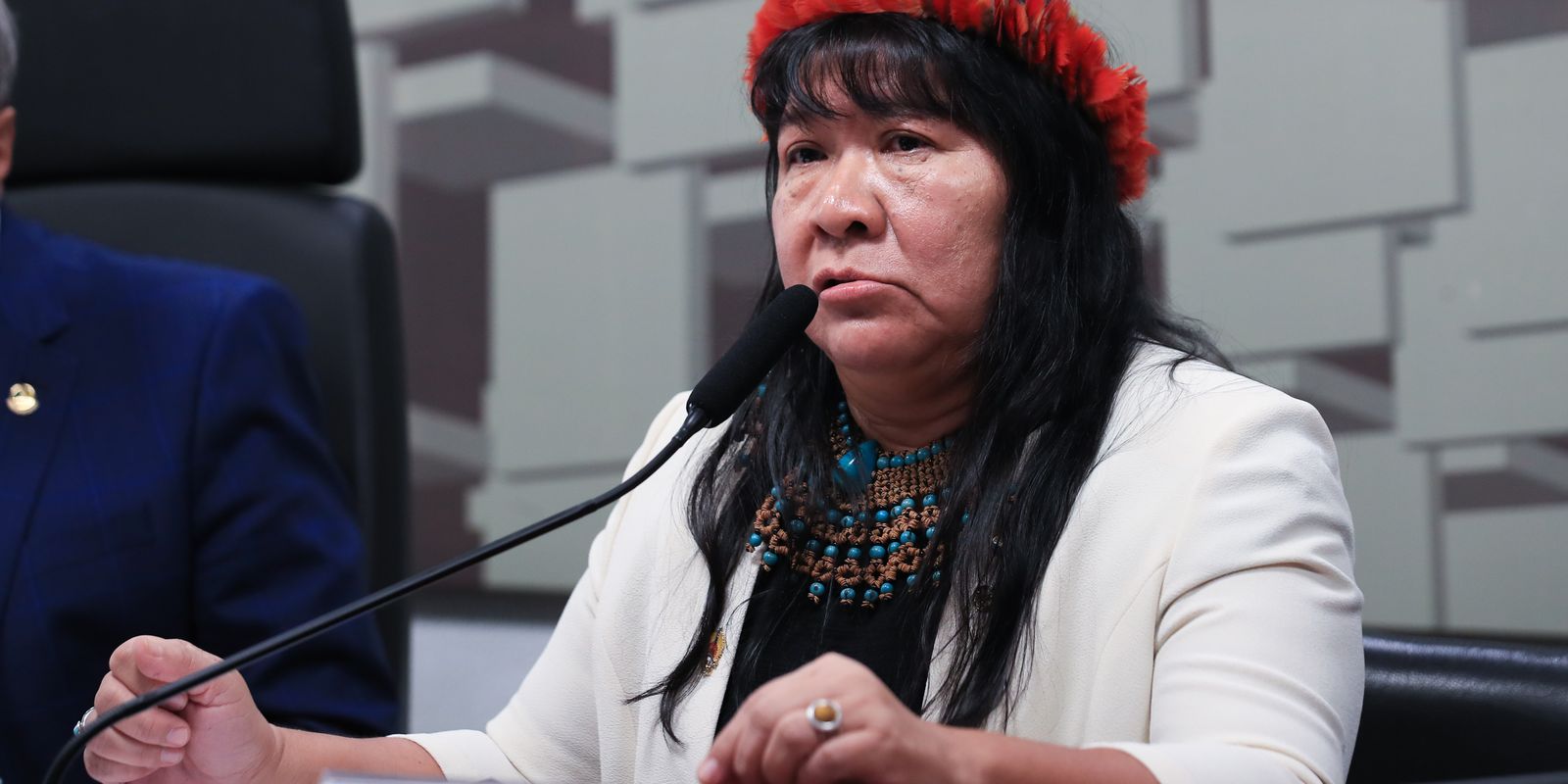 Comissão temporária dos Ianomâmis | Agência Brasil